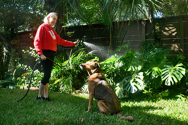 The allure of Ybor City – 83 Degrees Media